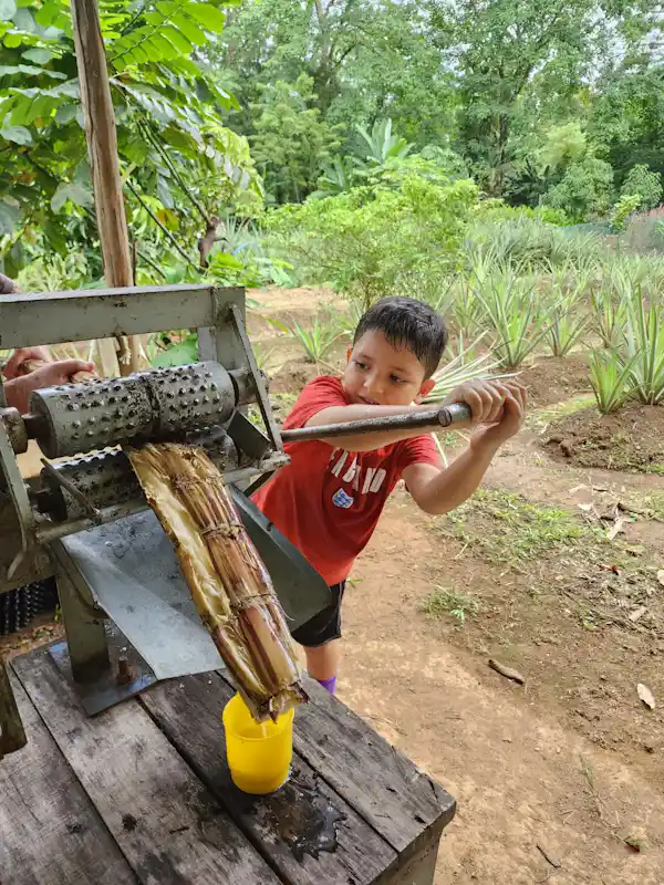Immersive Rural Experience | Permaculture & Sensory Farm Tour Arenal
